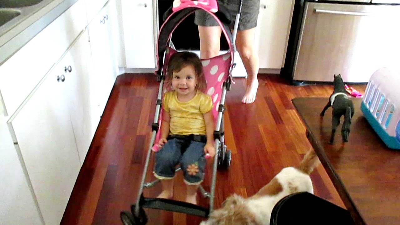 Reckless Driver Youtube