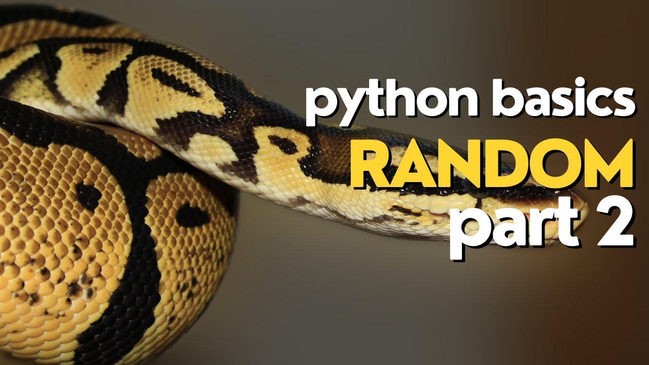 Python Basics Random Command Part 2 Youtube