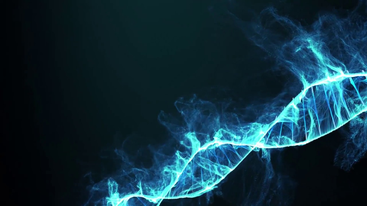 Trapcode Particular Youtube