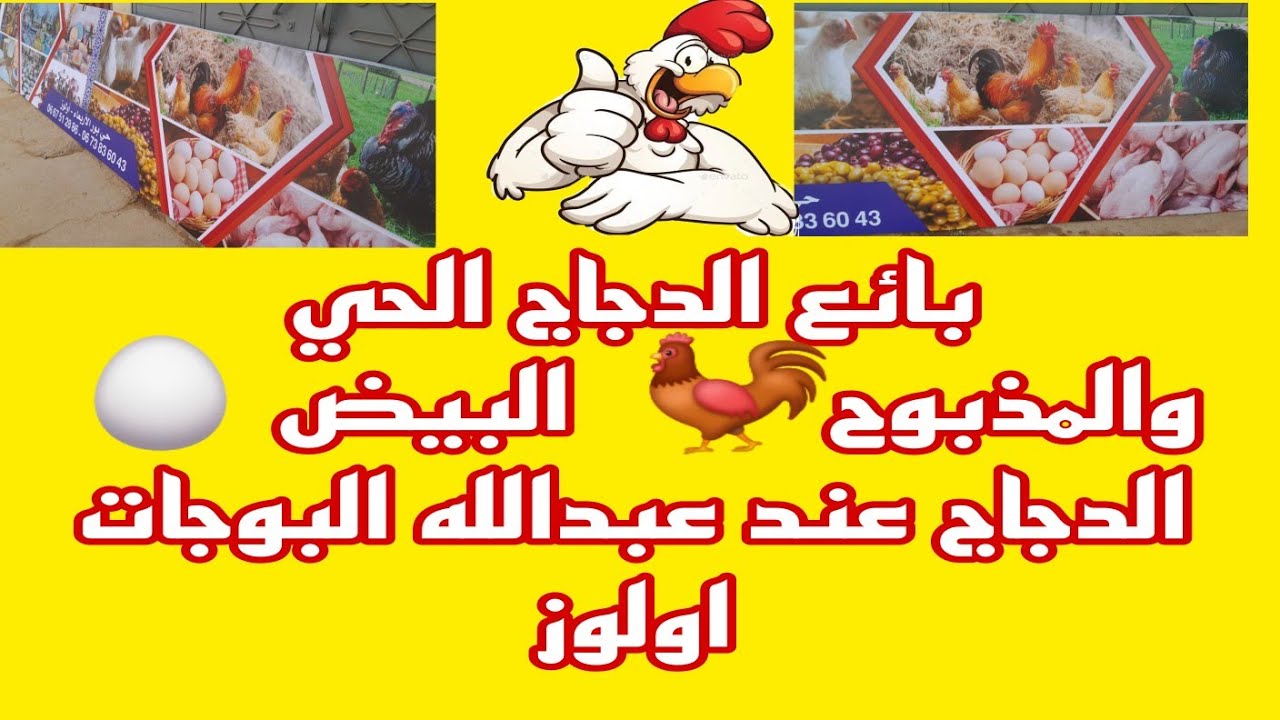 بائع الدجاج الحي والمذبوح البيض مرحبابكم عند عبدالله البوجات اولوز