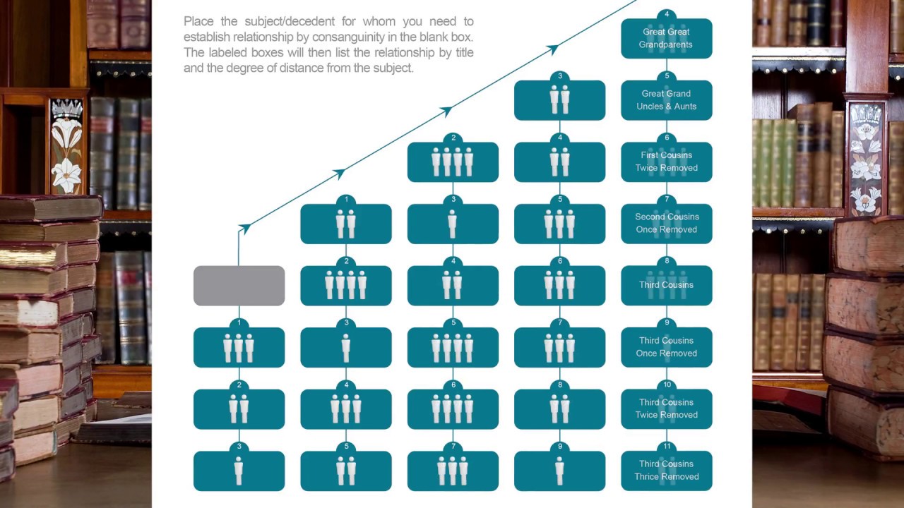 Chart Of Consanguinity And Affinity A Visual Reference Of Charts – Eroppa