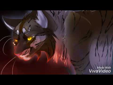 Tigerstern Demons Musikvideo Warrior Cats Feuerstern Youtube