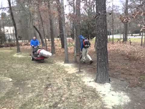 Blowing Leaves Youtube