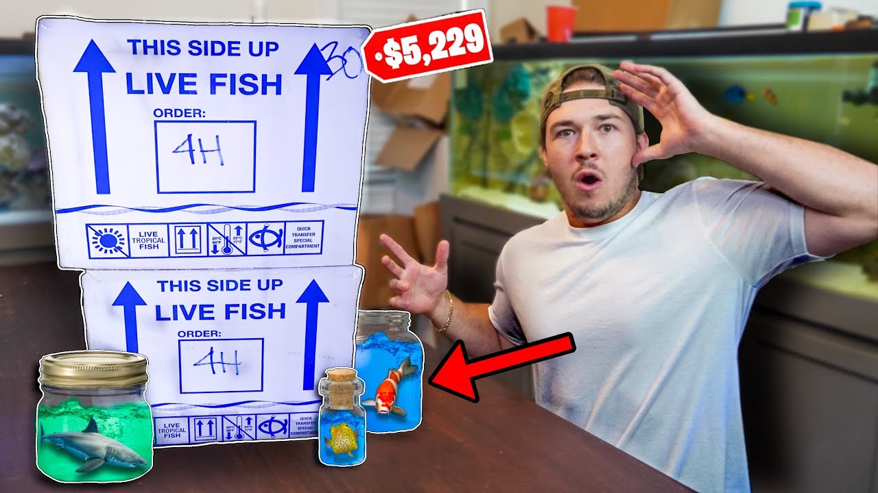 What S Inside This Live Fish Mystery Box Youtube