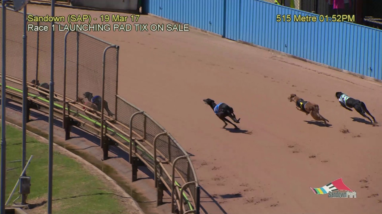 Sap Sun 19 Mar 17 R1 Youtube