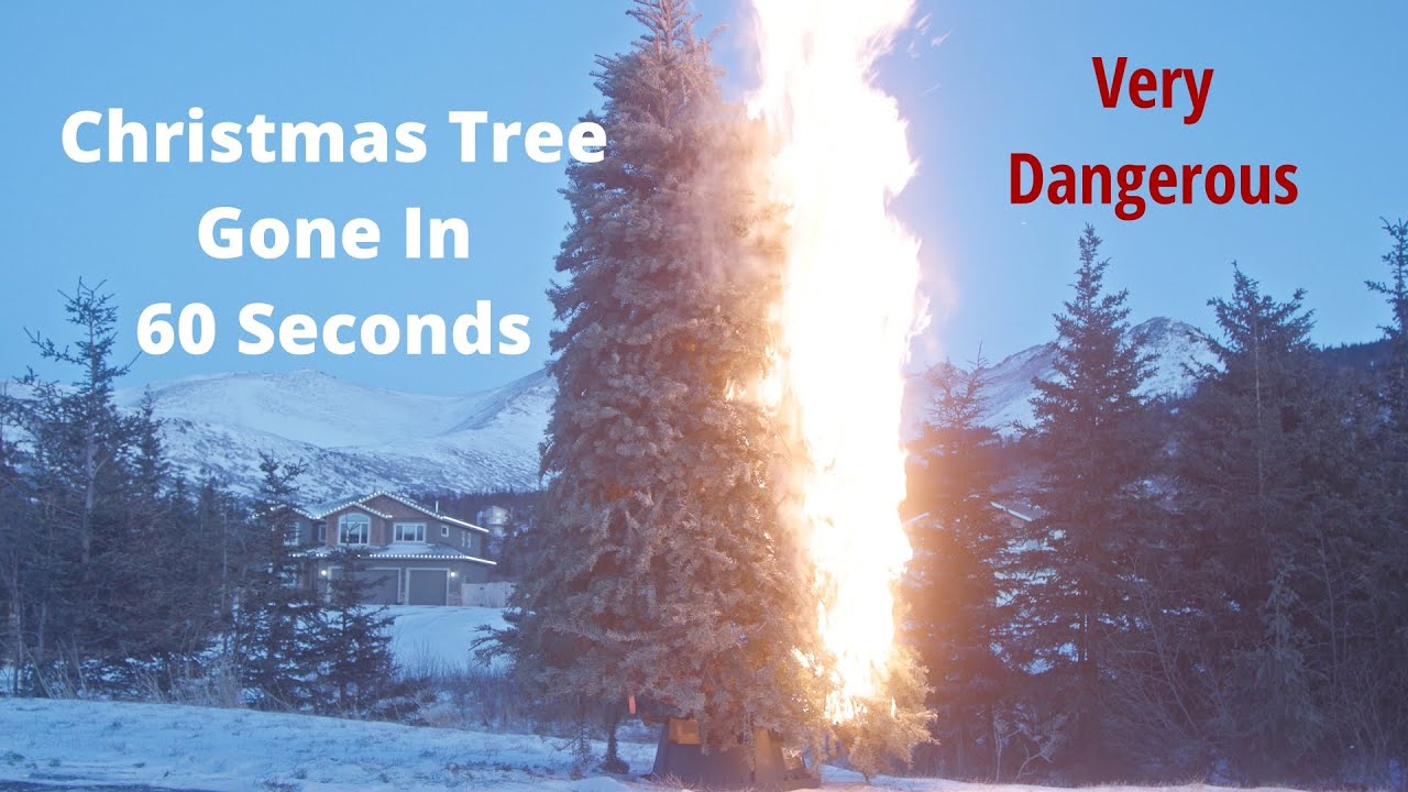 Burning Christmas Tree Goes Off Like Blow Torch Youtube