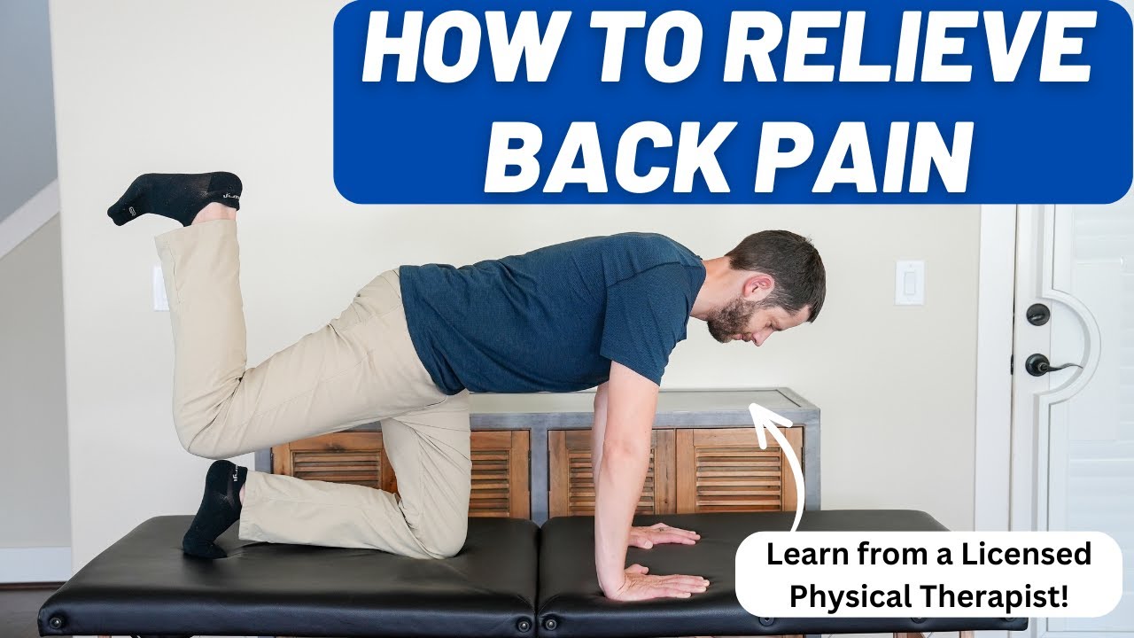 The 6 Best Exercises To Relieve Low Back Pain Pt Time With Tim Youtube