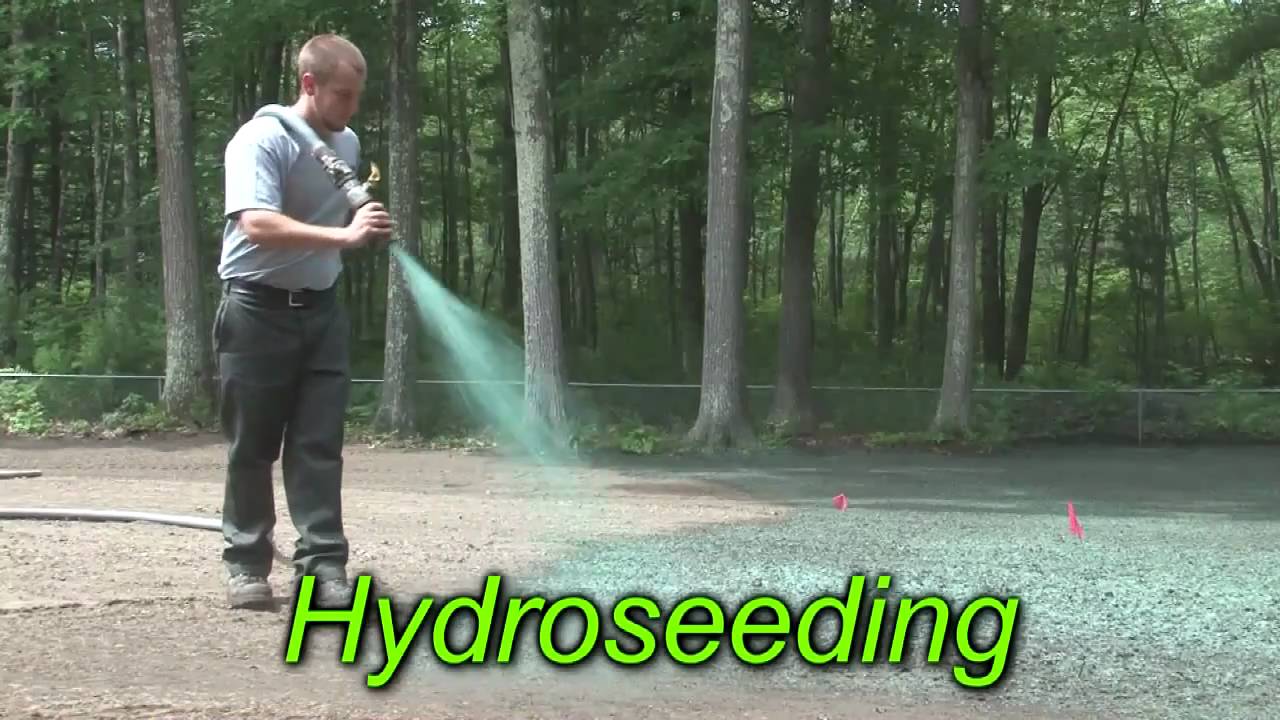 Pro Turf Hydroseeding Youtube