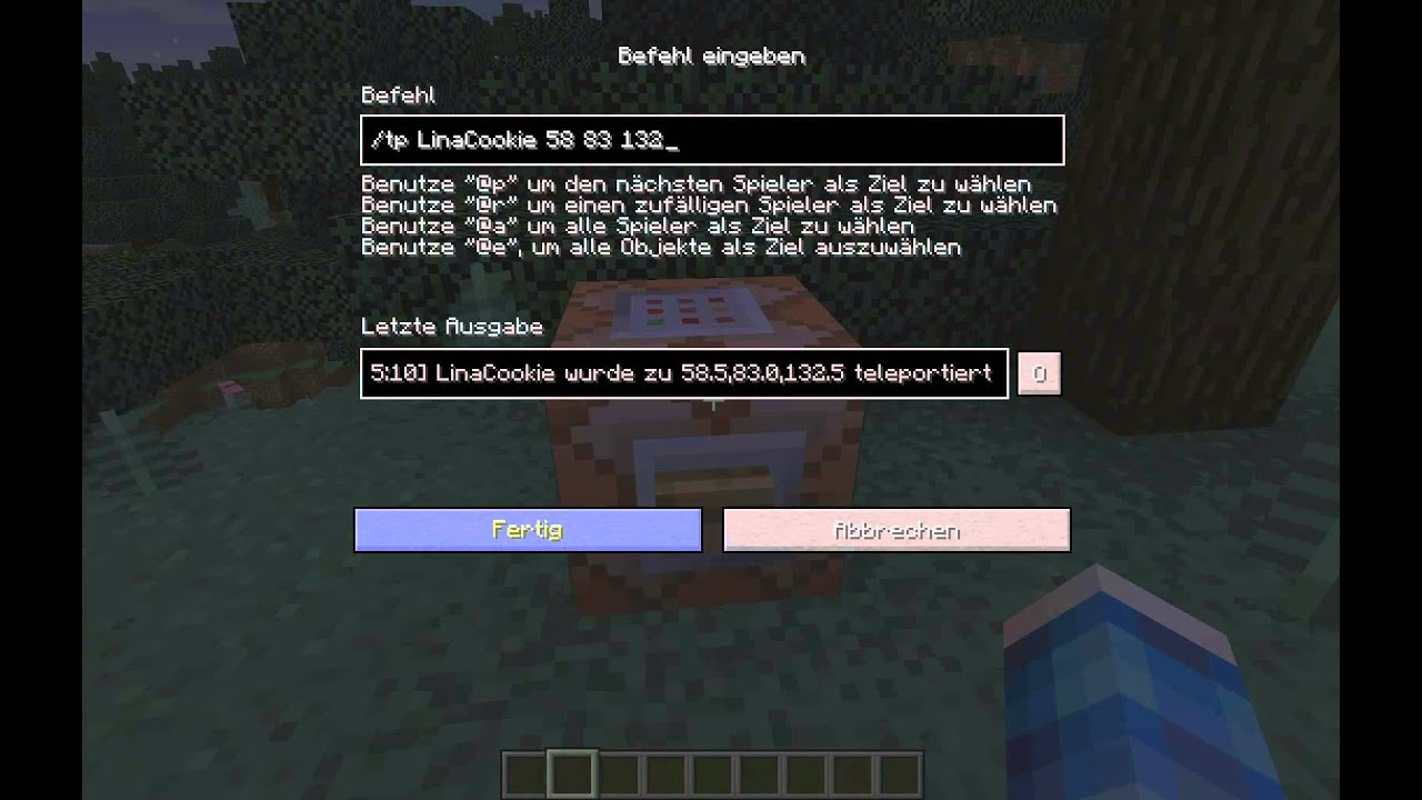 Minecraft Tp Command Youtube