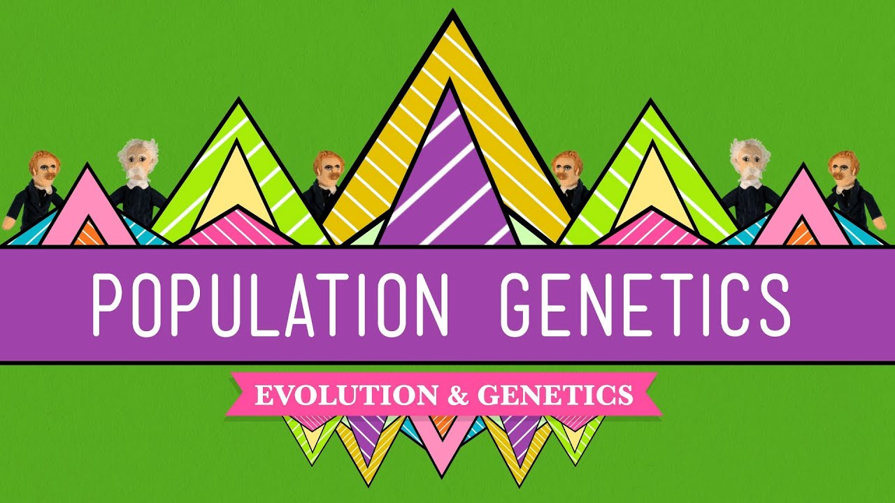 Population Genetics Definition