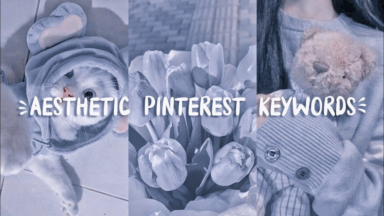 Aesthetic Pinterest Keywords宖弦 竍 ﾋ陵祥銀劭 Ivyshelps 笘 ｸ場蝶 Youtube