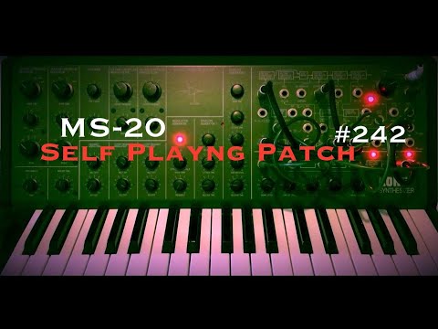 Korg Ms 20 242nd Self Playing Patch Youtube