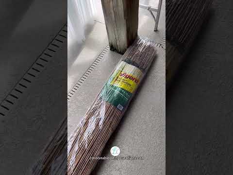 Diy Reed Fence Ceiling Youtube