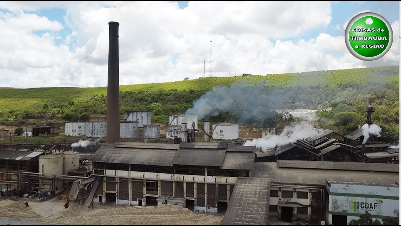 Usina Coaf Timbaúba Produzinho Cachaça Açúcar E Etanol Youtube