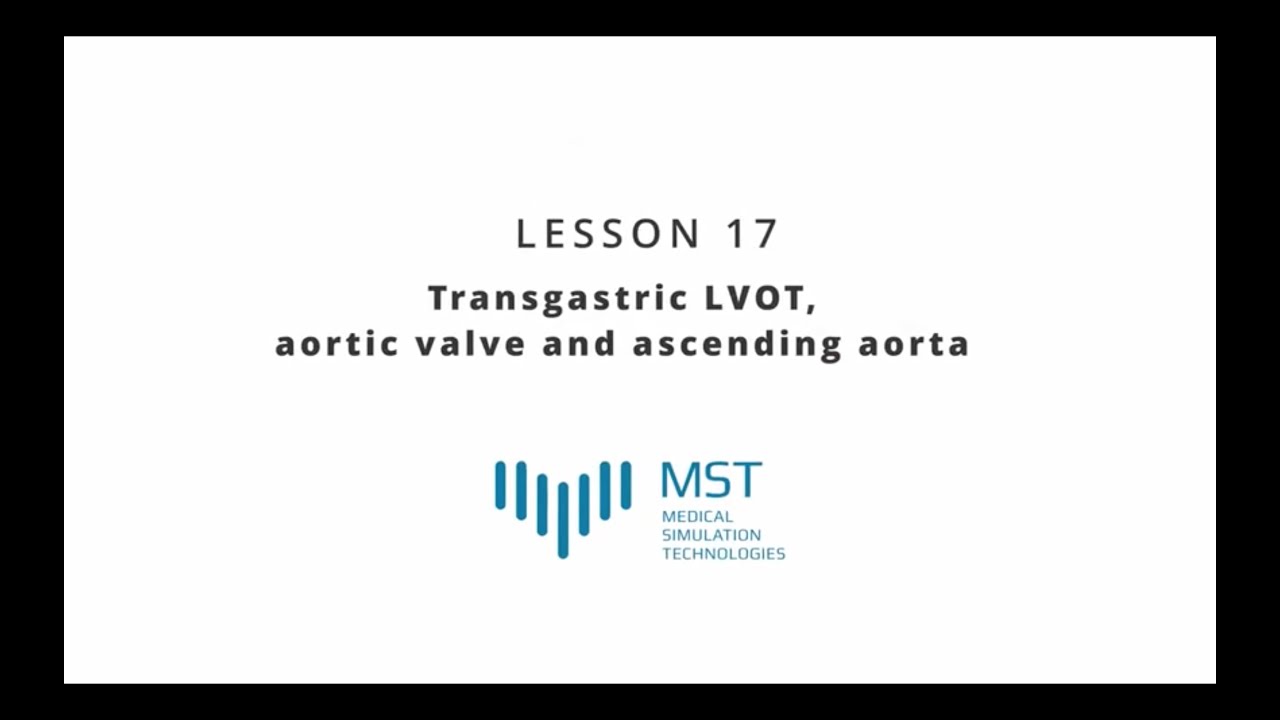 Mst Masterclass Lesson 17 Transgastric Lvot Aortic Valve And