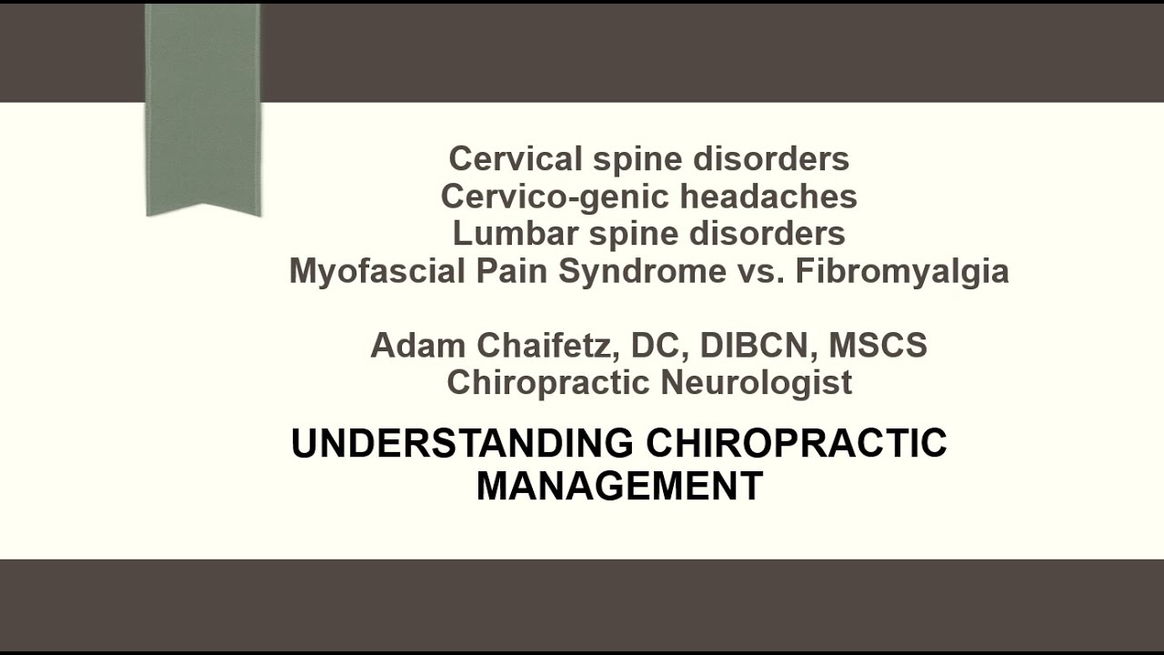 Understanding Chiropractic Management Of Pain Youtube