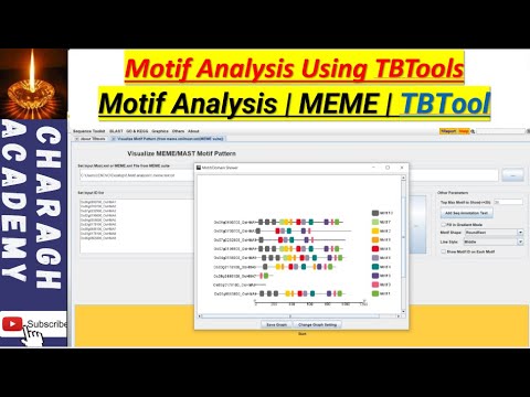 Motif Analysis Using Tbtools Genome Wide Analysis Youtube