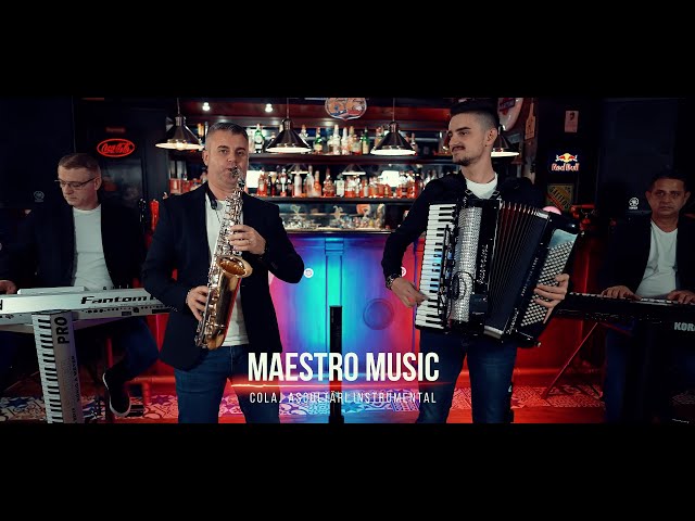 Maestro Music - Ascultare Instrumentala