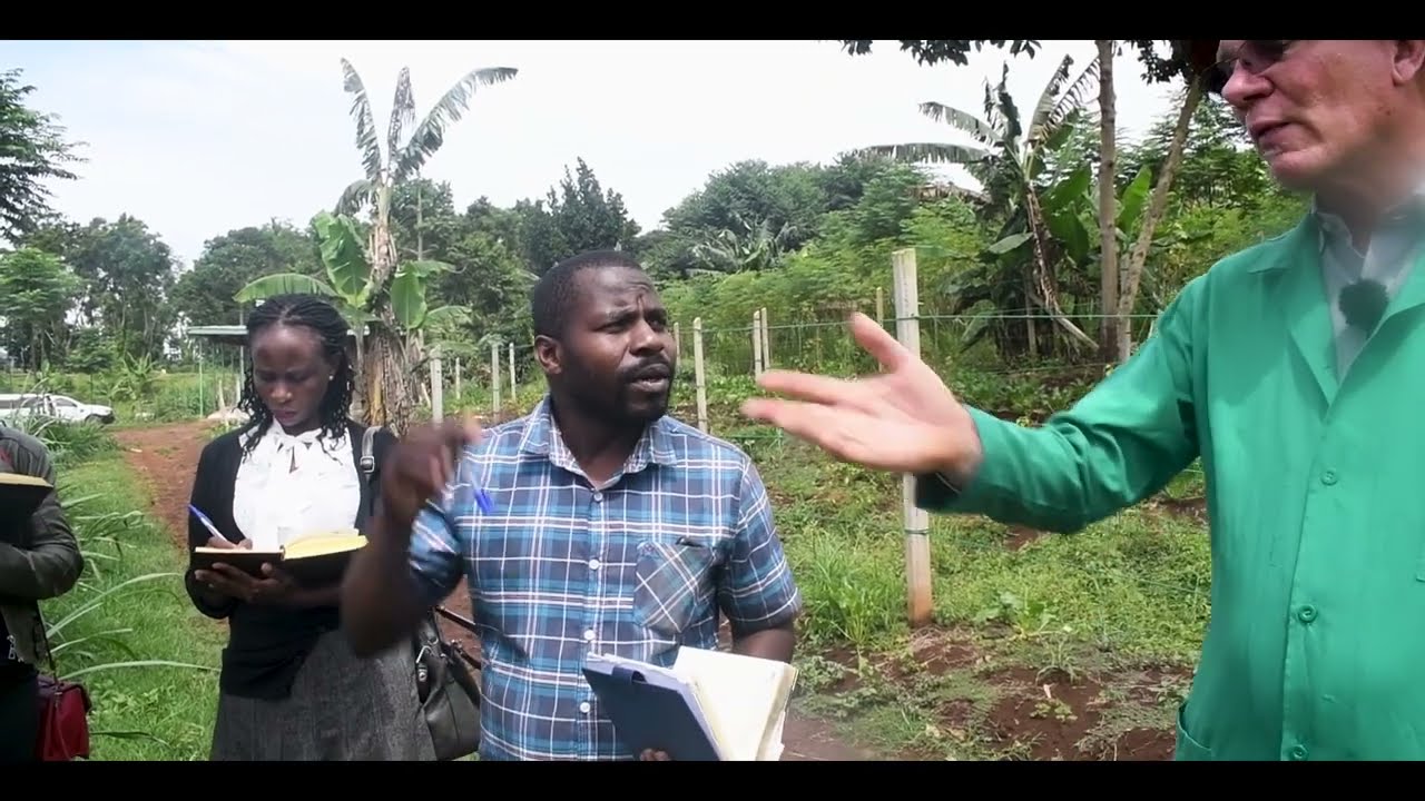 How To Improve Soil Fertility Using Organic Fertilizer Youtube