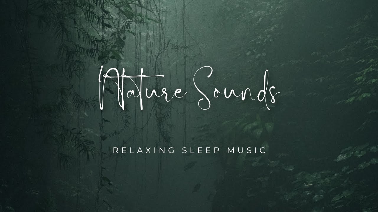 Waterfall Bird Chirping Sounds Youtube