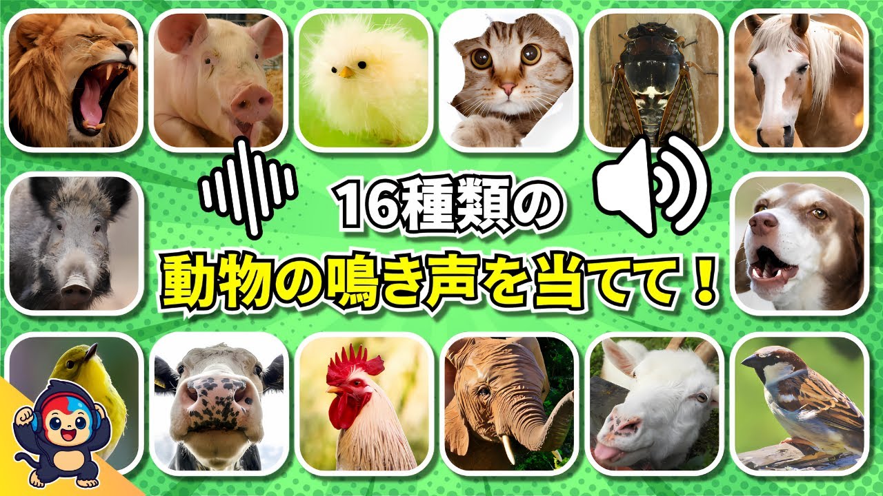 全16問の動物の鳴き声当てクイズ 11問以上正解でキミは動物博士だ Youtube