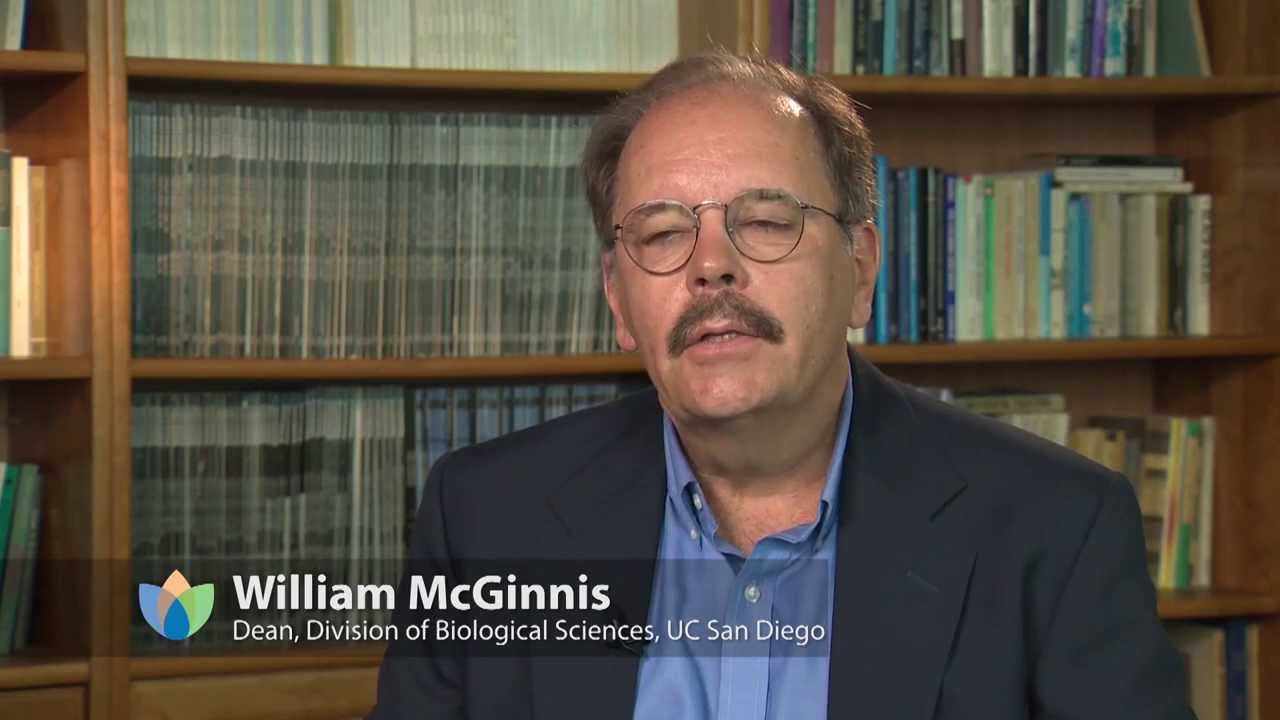 Q A With William Mcginnis Dean Of Division Of Biological Sciences