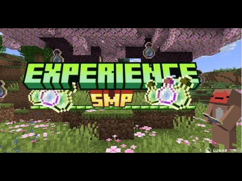 Experience Smp Application Youtube