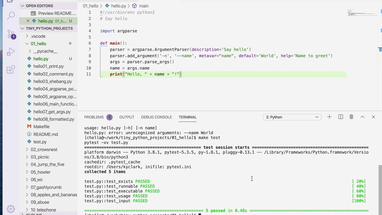 Tiny Python Projects Ch 1 Pt 8 Adding A Main Youtube