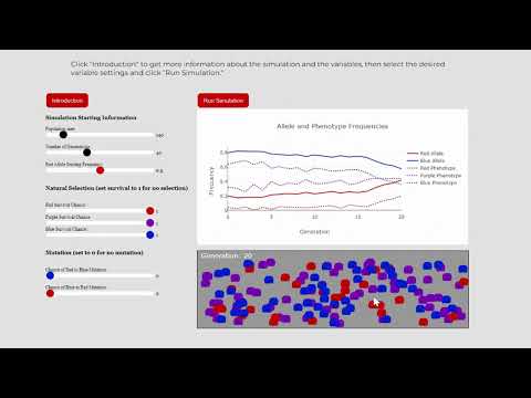 Population Genetics Simulation Genetic Drift Youtube