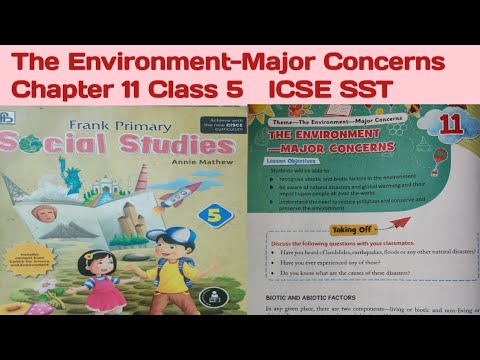 The Environment Major Concerns Chapter 11 Icse Sst Class 5 Youtube