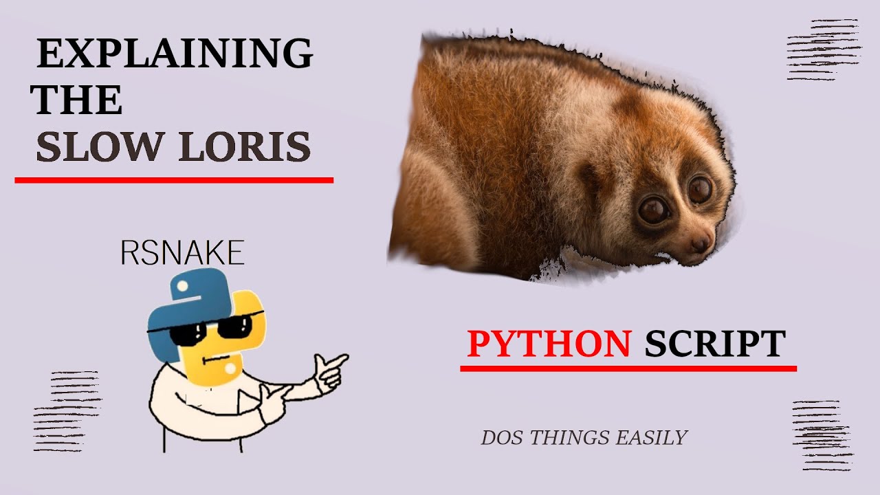 Slowloris Attack Python Ulsdtwo