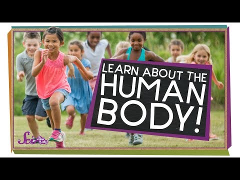 All About Your Body Human Body Compilation Safe Videos For Kids