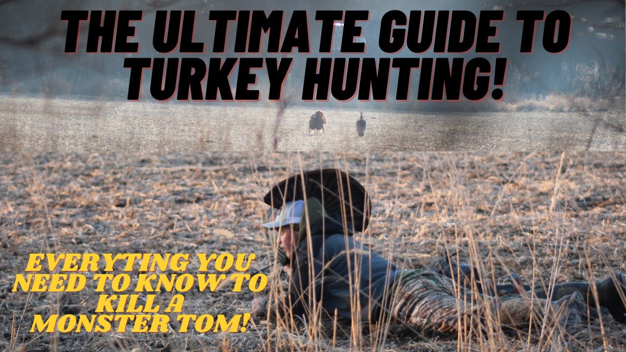 How To Turkey Hunt For Beginners The Ultimate Guide For New Hunters