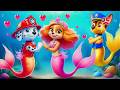 Chase Mermaid Is Pregnant But Skye Only Love Marshall Paw Patrol ...
