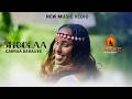 Sirba Hara Bara 2026 Mp3 Music & Mp4 video downloads