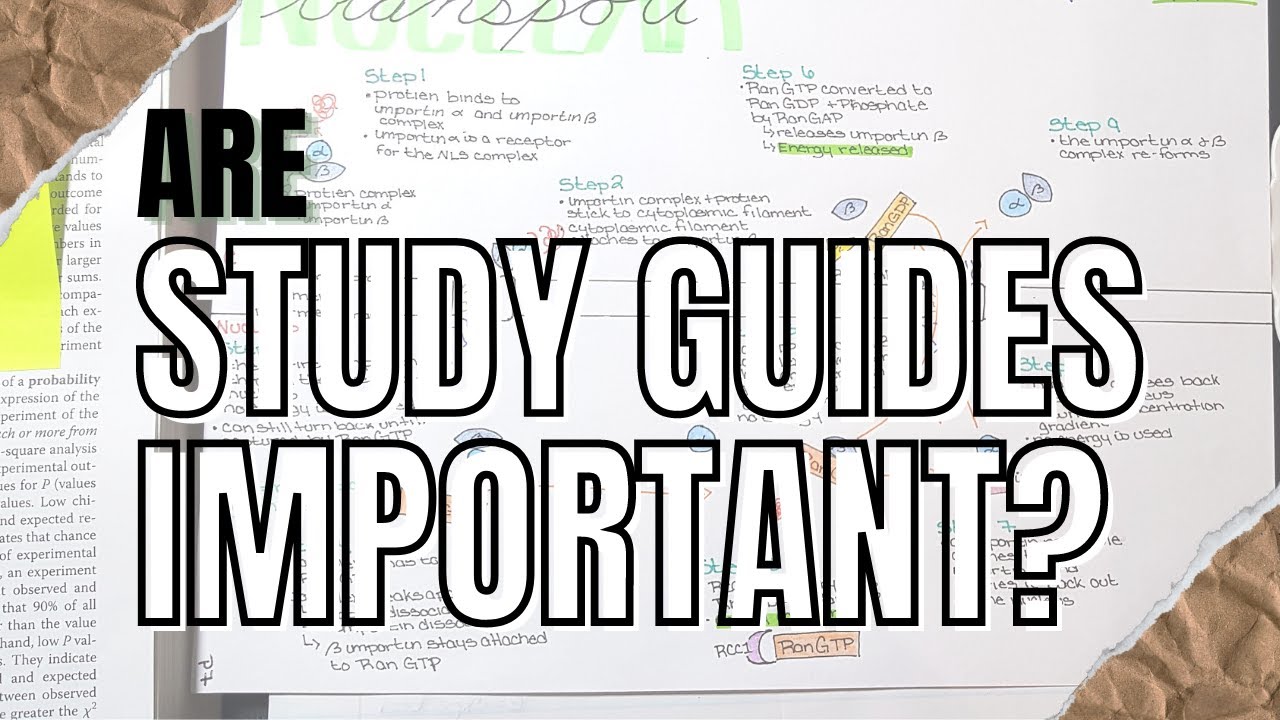 Why Are Study Guides Important Absolutely Studying Youtube