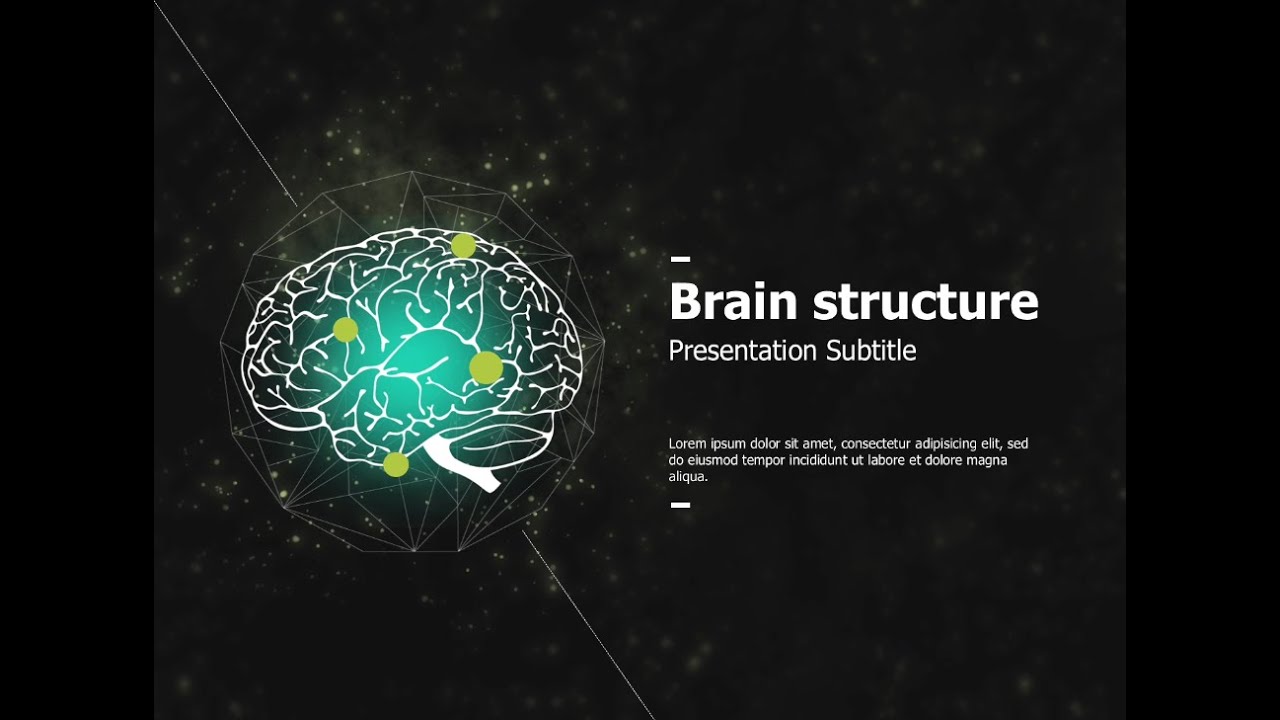 Brain Structure Animated Ppt Youtube
