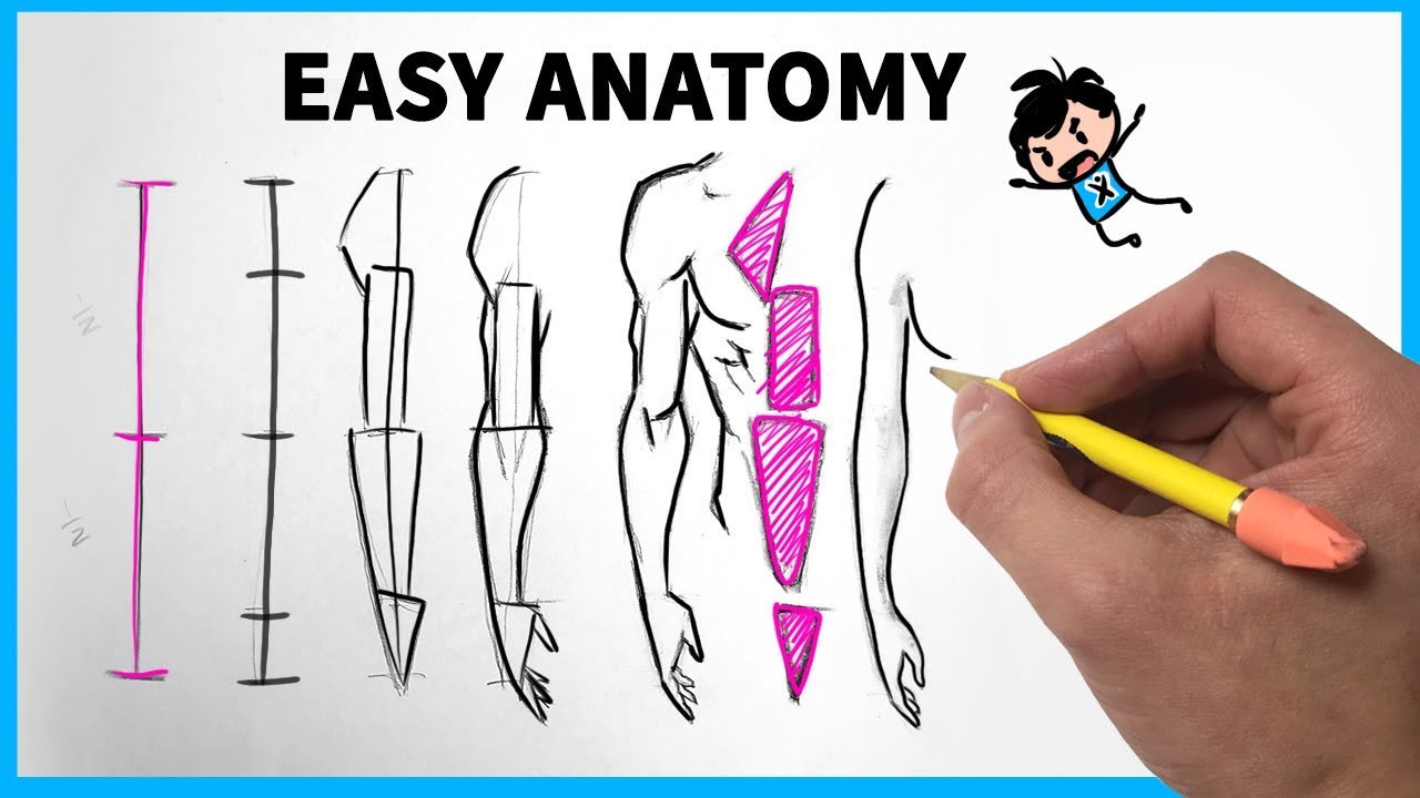Arm Anatomy Drawing Tips I Am A Beginner In Drawing Tips On How I Can