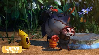 Animation Compilation Larva Tuba Official Videos For Kids