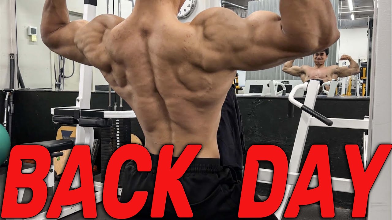 Back Workout Youtube