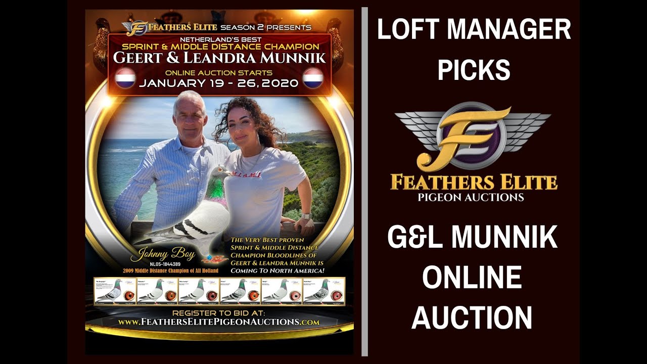 Fepa Loft Manager Picks Munnik Auction 2020 Youtube