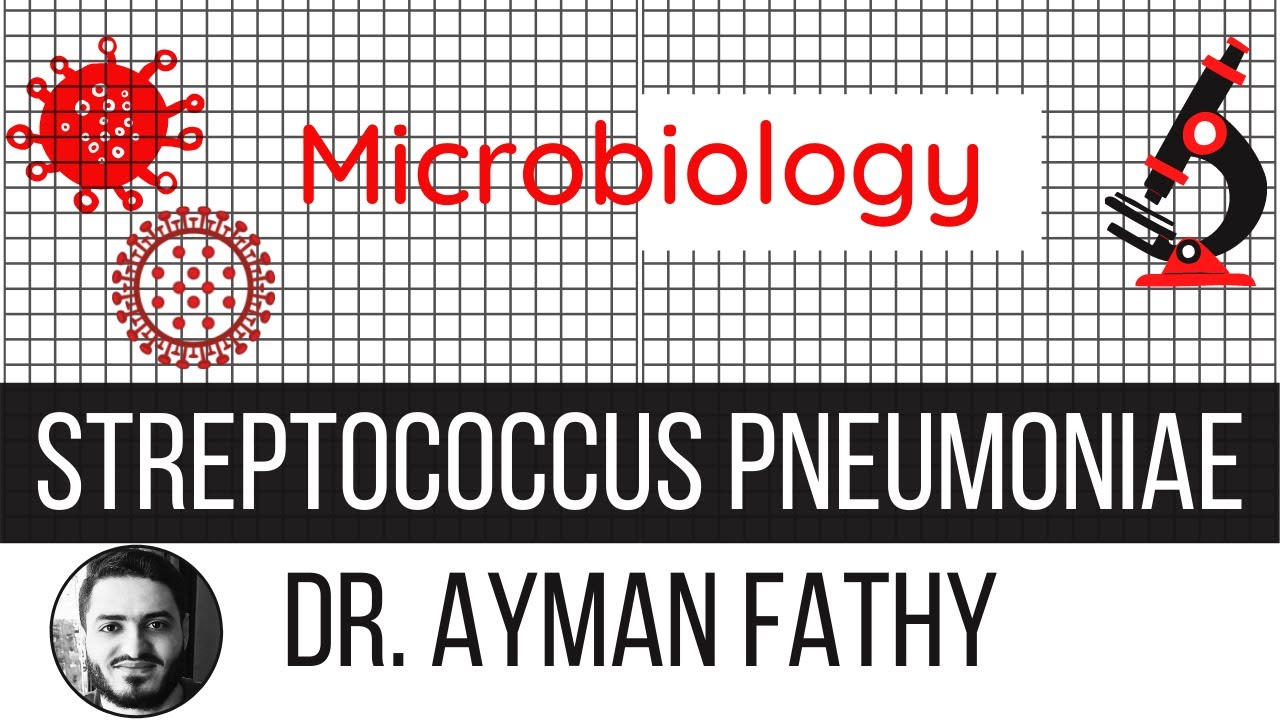 Streptococcus Pneumoniae Usmle Step 1 Microbiology Dr Ayman Fathy