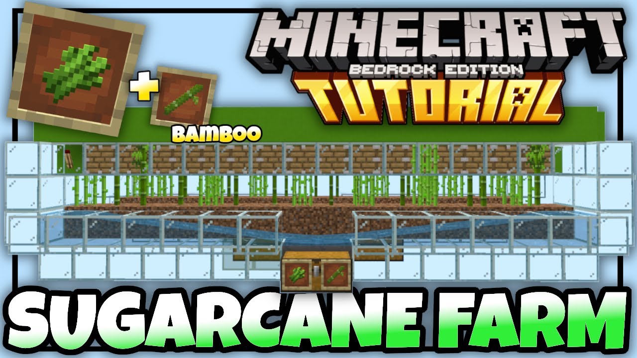 Automatic Sugercane Bamboo Farm Minecraft Bedrock Tutorial Mcpe