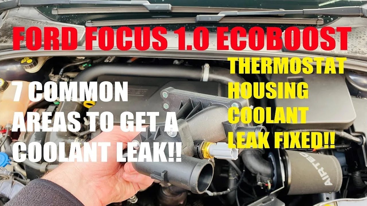 Coolant Leak By Thermostat At Darlene Thompson Blog