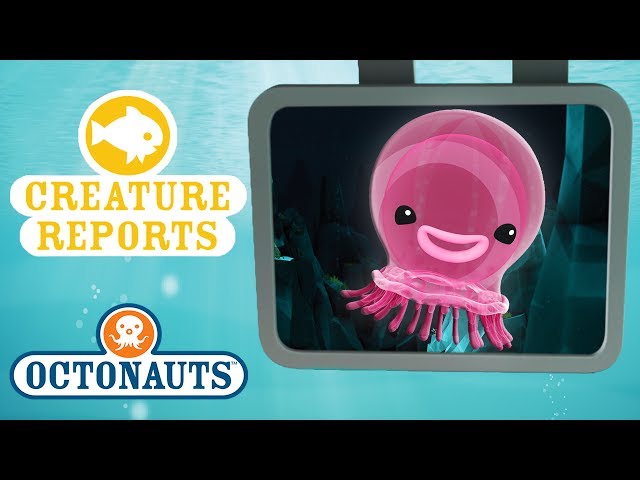 Octonauts Deep Sea Creatures Cartoons For Kids Underwater Sea – Themeroute