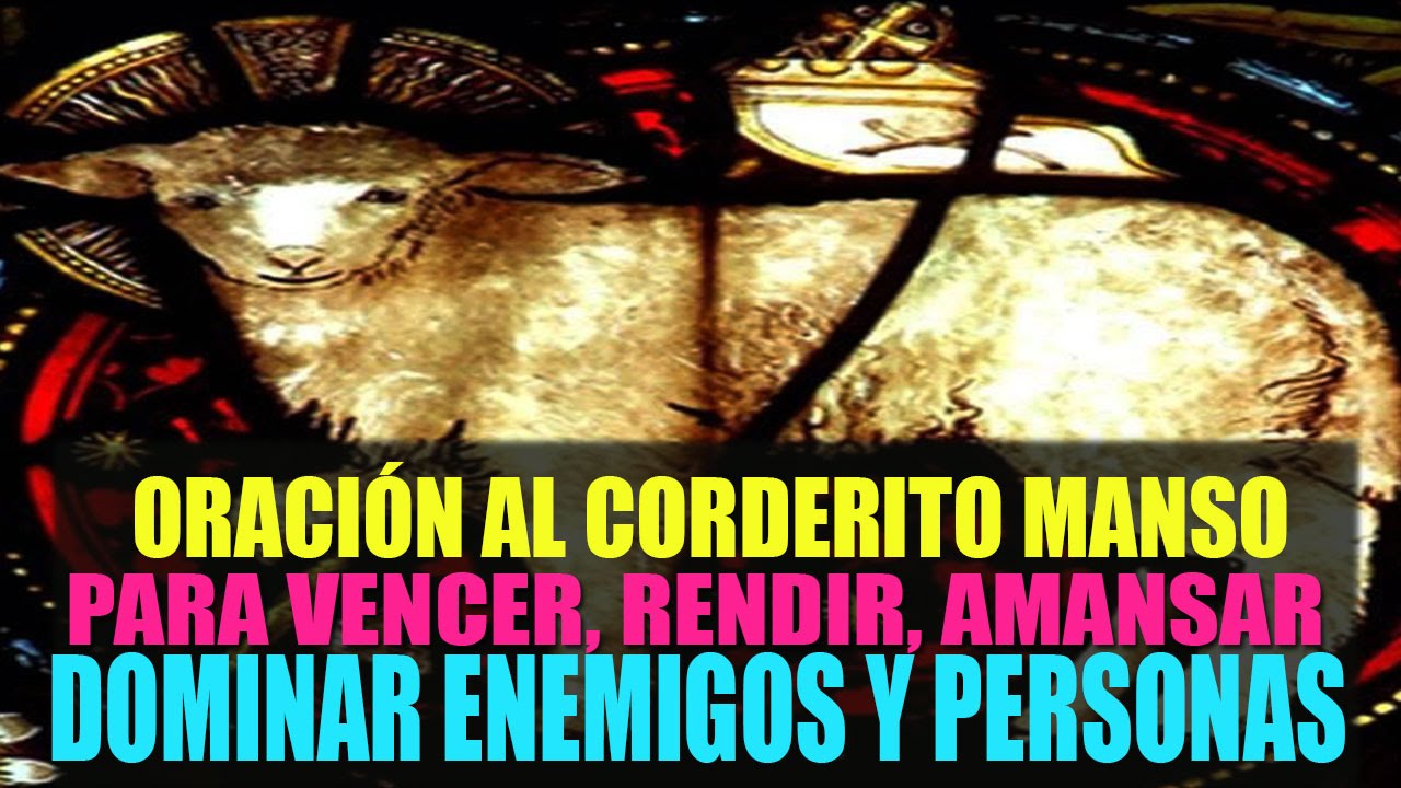 Oración Al Corderito Manso Para Vencer Rendir Amansar Y Dominar