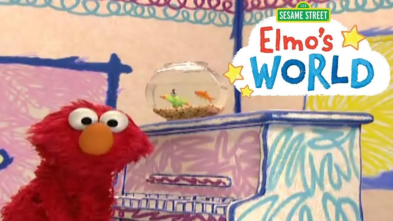 Elmo S World Theme Song Episodes Chat Review Youtube