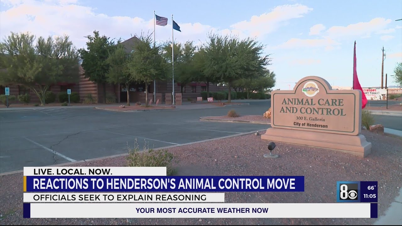 Henderson Seeks To Explain Animal Control Move Amid Growing Speculation