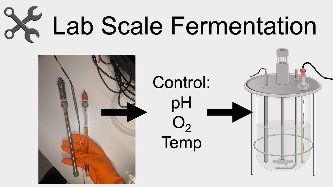 Lab Scale Fermentation How And Why We Do It Youtube