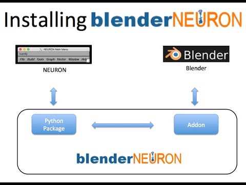 Tutorial Installing Blenderneuron Youtube